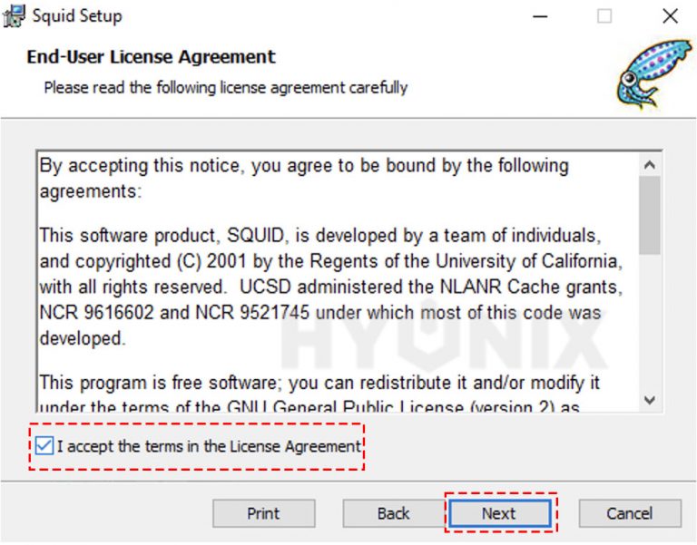 How To Setup and Configure a Squid Proxy on Windows Server?