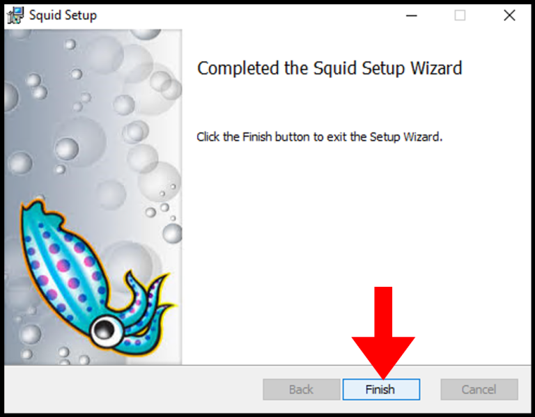 How To Setup and Configure a Squid Proxy on Windows Server - Knowledge ...